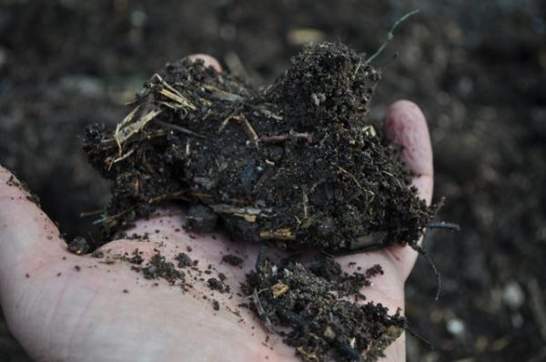 What a load of rot (or how to make backyard compost!) – Stringybark ...